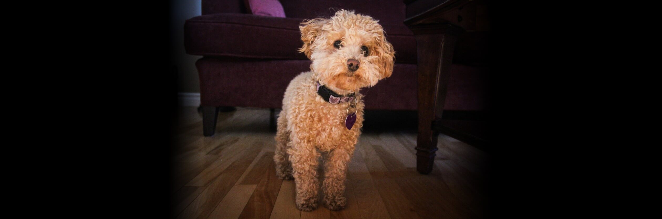 Forsyths - Accounting | Financial Services | Audit - A Frantic Morning ...